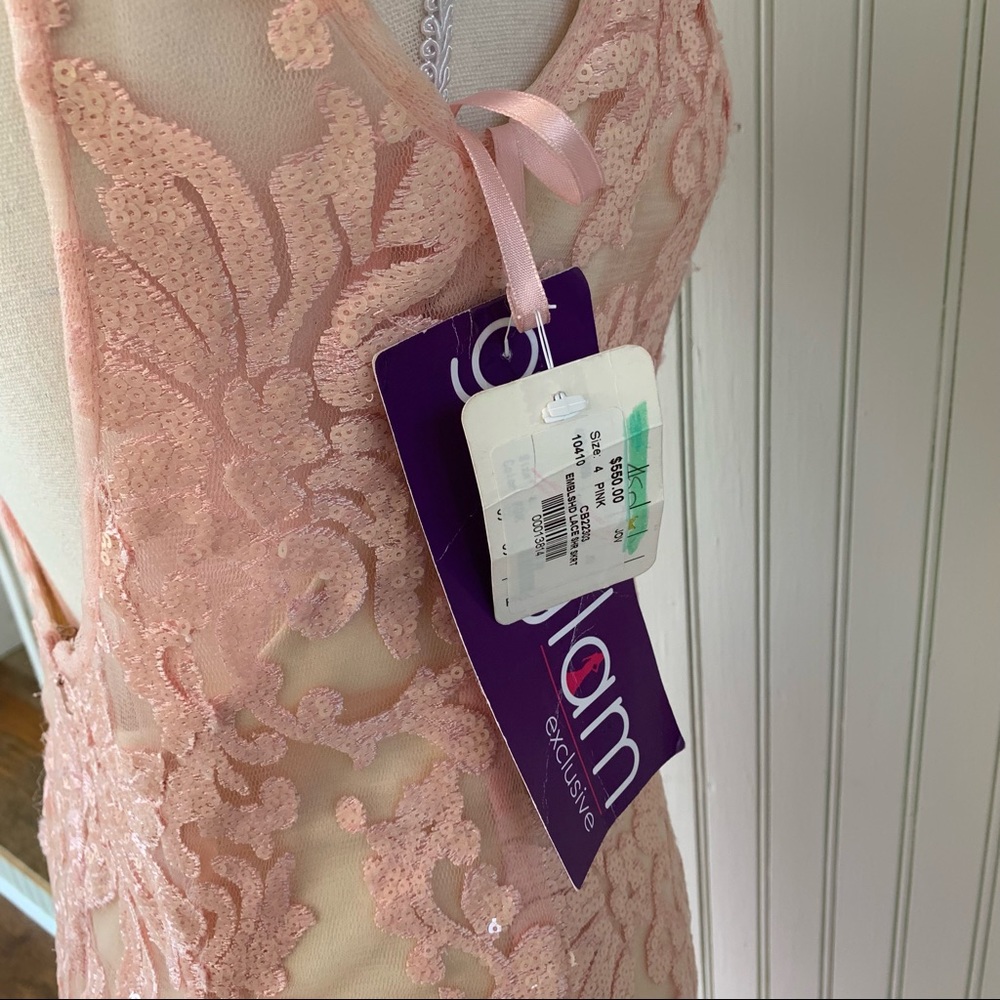 Glamorous Sheer Embellished Pink Floral Long Dress Go… - Gem